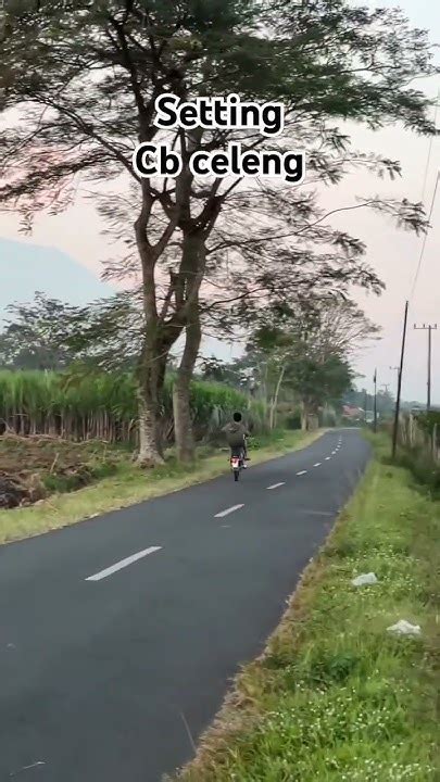 Setting Cb Celeng Auto Terbang Cb Herexcb Short Youtube
