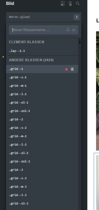 How To Remove Classes From Being Suggested How To Bricks Community Forum