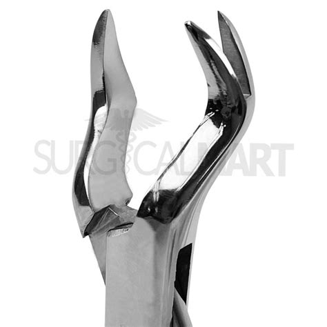 2 Extracting Forceps 88r And 88l For Upper 1st And 2nd Molars