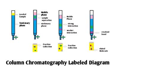 What Is Column Chromatography Steps Involved Column Chromatography And