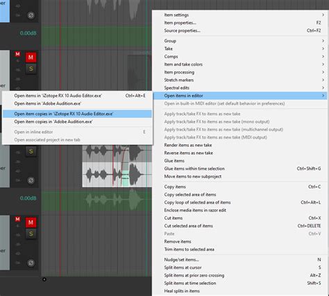 creating item copies for whole files in external editor r reaper