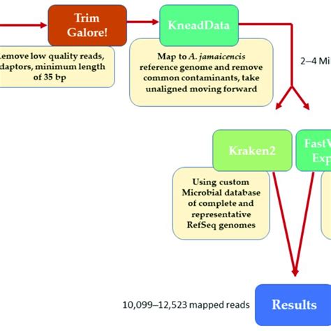 Metagenomic Data Analysis Flow Chart Download Scientific Diagram