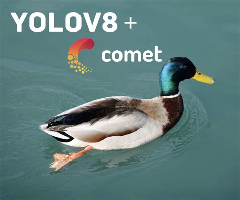 fine tuning yolov8 for image segmentation with comet comet