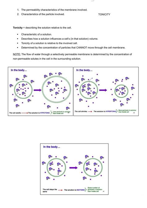notes on biomolecules and cells physiology 334 physiology sun