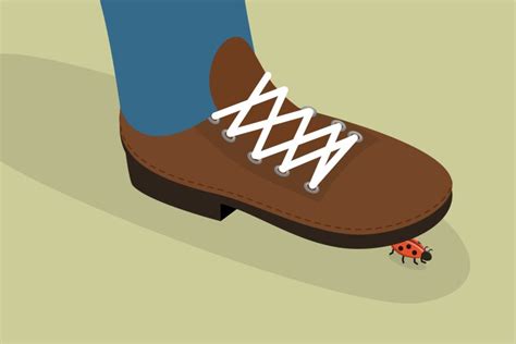Step Vector Images Over