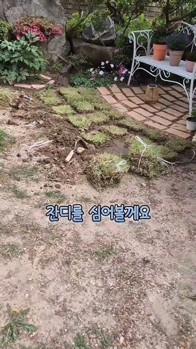어느시골마당 잔디 정원 마당꾸미기 Youtube
