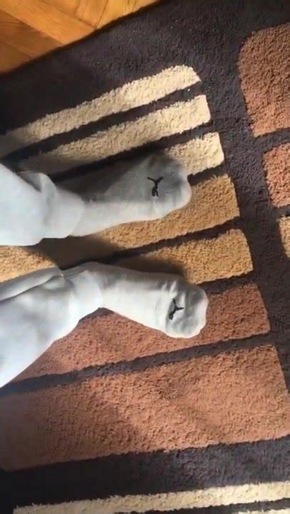 Maxprinz Video 3 Maxprinz Video 3