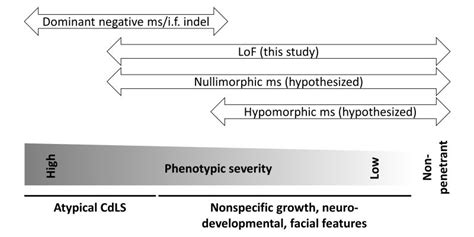 American Society Of Human Genetics On Linkedin Heterozygous Loss Of Function Smc3 Variants Are