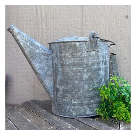 Galvanized Watering Can Etsy