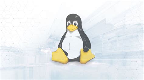 Linux Basics Tutorial For Beginners Linux Fundamentals YouTube