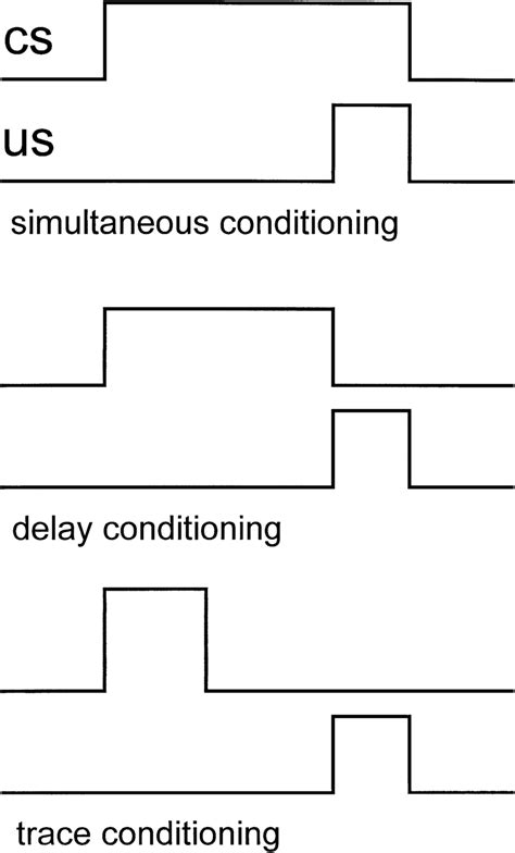 Classical Conditioning Diagram