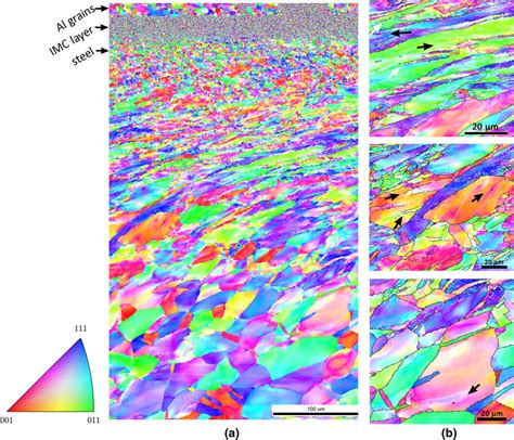ebsd map of the microstructure of 316l near the interface general view