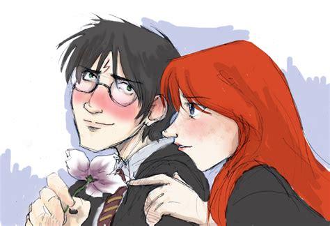 Harry Potter And Ginny Weasley Fan Art