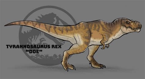Jurassic Park Tyrannosaurus Rex Doe By Auguriim On Deviantart