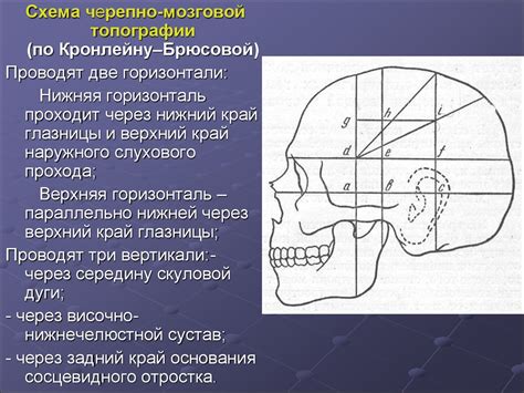 Топографическая анатомия и оперативная хирургия головы - презентация онлайн