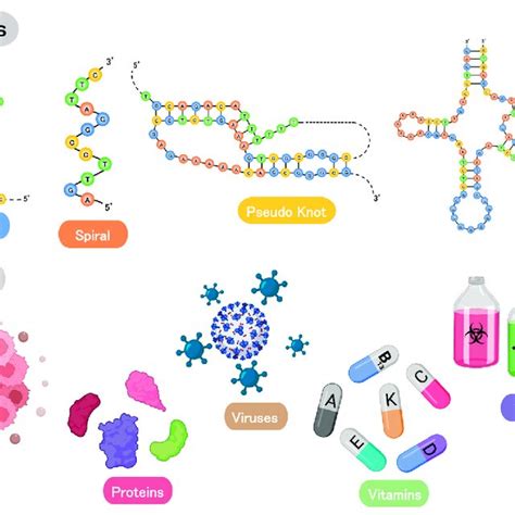 The Structures And Targets Of Aptamers Created With