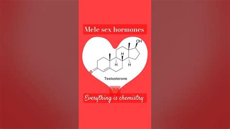 Male Sex Hormones Male Sex Hormones Structure Shorts Organic