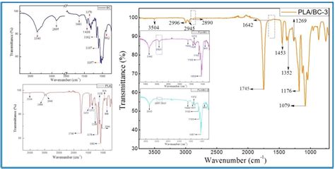 Figure 3 From Preparation Of 3d Printed Polylactic Acid Bacterial