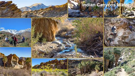Victor Trail Loop Indian Canyons Cvhc