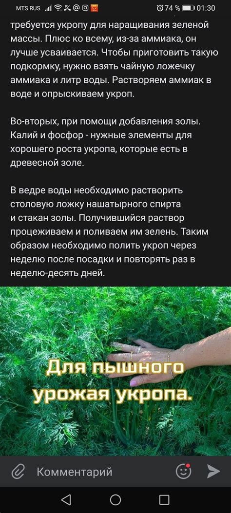 Пин от пользователя Светлана Ткач на доске Разное в 2024 г Посадка растений Идеи посадки