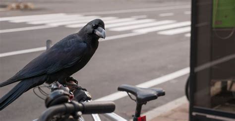 Brad Potthoff On Linkedin How To Avoid Building Software That No One