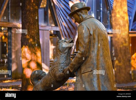 Hachiko With Dr Hidesaburo Ueno Statue At Tokyo University Todai