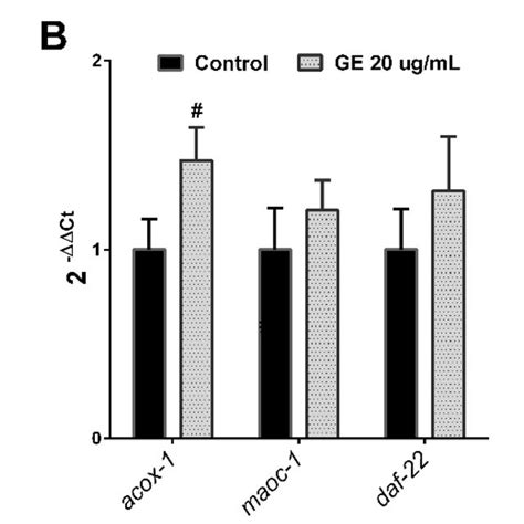 Gene Expression Levels Of Lipogenesis Related Genes A Download