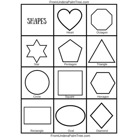Shape Recognition Activity
