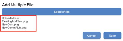 File Manager