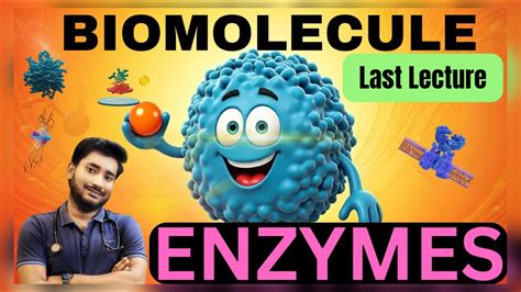 Enzymes। Biomolecule Last Lecture।। One Day One Chapter।। Youtube