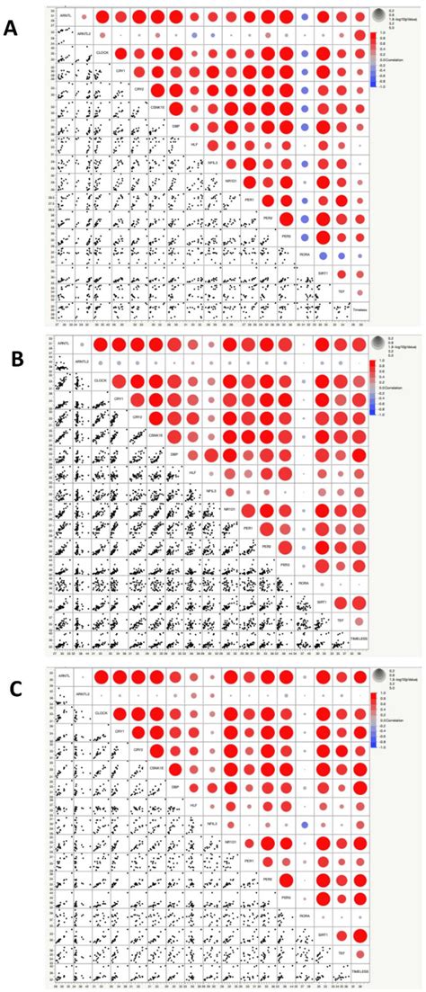 Correlation Matrices Showing Correlation Values Between The Expression Download Scientific