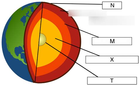 Science Midterm Diagram Quizlet