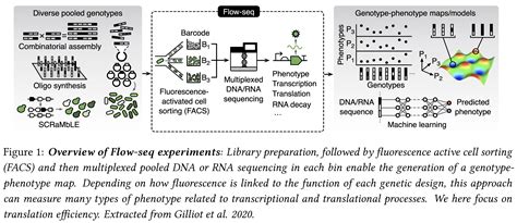 Github Biocomputelab Forecast