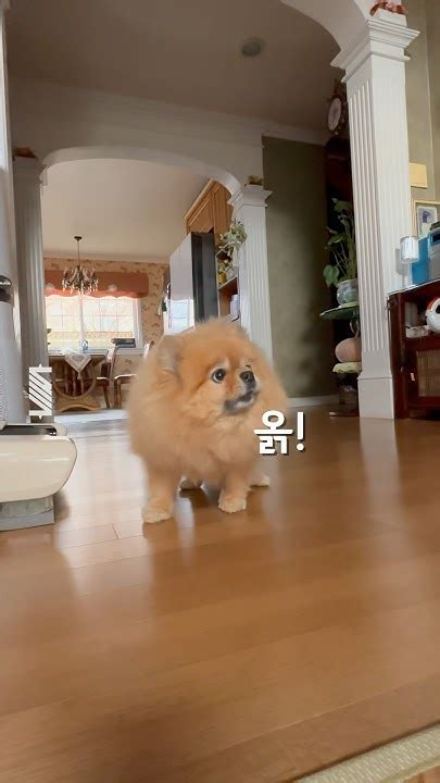 내 말 좀 들어주라고 Youtube