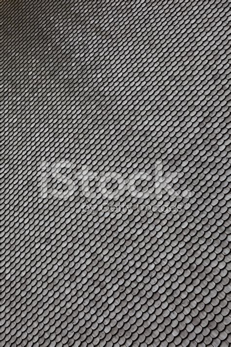 Scale Texture Stock Photo Royalty Free Images FreeImages