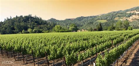 나파 밸리 And 소노마 와인 컨트리 일일 투어 미국 샌프란시스코 출발