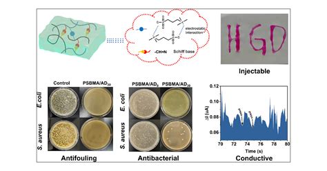A Multifunctional Antibacterial Hydrogel With Injectable Antifouling