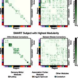 Module Connectivity For SMART Subjects With Low And High Modularity