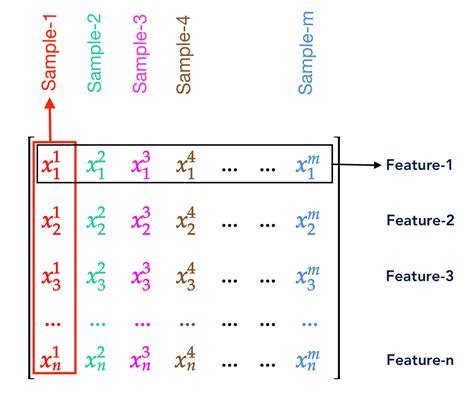 Deep Learning Deep Guide For All Your Matrix Dimensions And Calculations By Skrew Everything