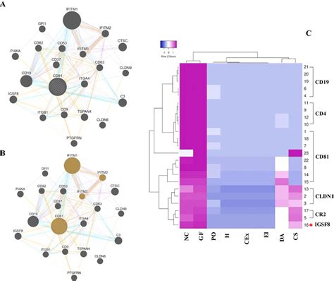 Cd81 Mediated Overall Genetic String Interactions Among The Coexpressed