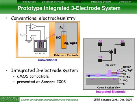 Ppt Biomimetic Interfaces For A Multifunctional B Iosensor Array Microsystem Powerpoint