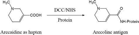 The Synthesis Procedure For The Antigen Download Scientific Diagram