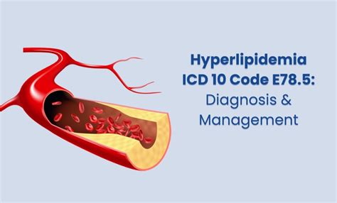 Hyperlipidemia Icd 10 Code E78 5 Diagnosis And Management