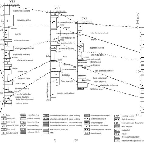 Sedimentary And Stratigraphic Features Of Transect Dd ′ The Locations
