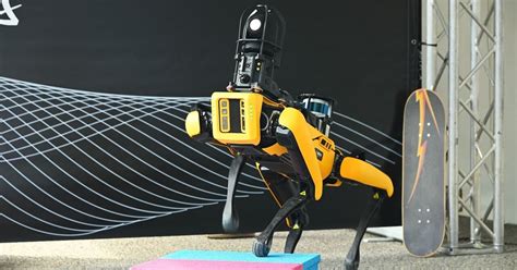 Why Polyfunctional Robots Are Gaining Momentum