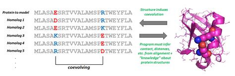 alphafold based databases and fully fledged easy to use online