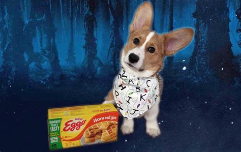 On A Scale Of 0 10 How Excited Is Everyone For The Season 2 Premiere Of Stranger Things Were