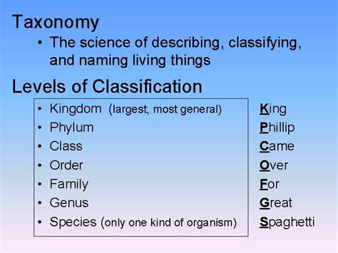 Classification Why Classify Classification Makes It Easier To
