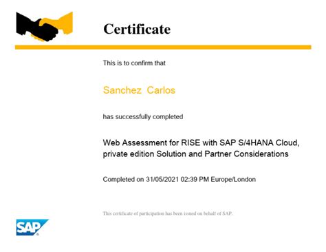 Rise With Sap S4hana Cloud Private Edition Solution And Partner Considerations Pdf