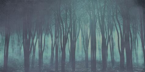 Trees And Fog Themed Wallpaper Sample Peel And Stick Wall Etsy